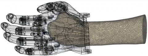 Hand Archives – Team Gre-Nable